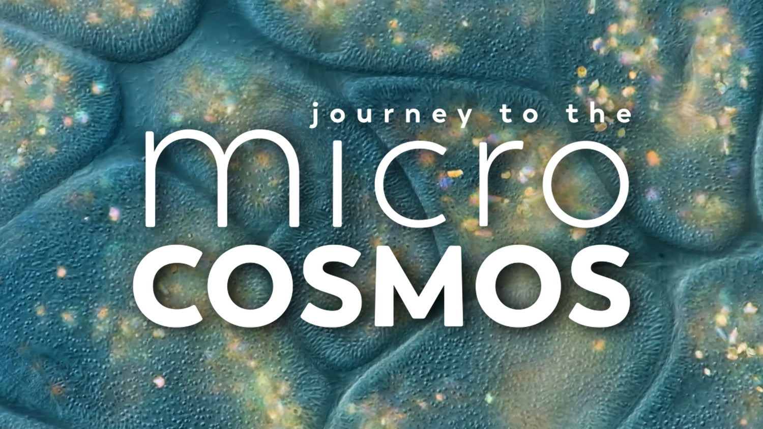 The Microcosmos – Complexly Store