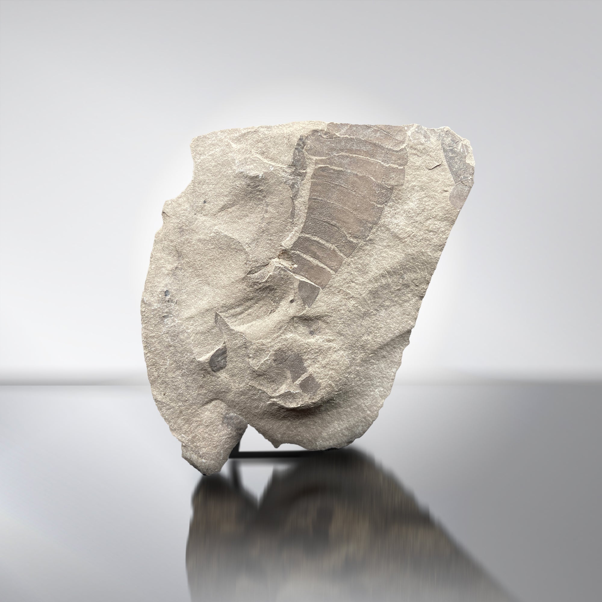 List of Rocks – Complexly Store