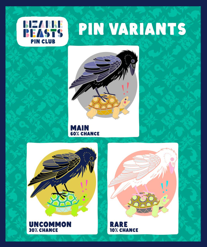 Products – Complexly Store