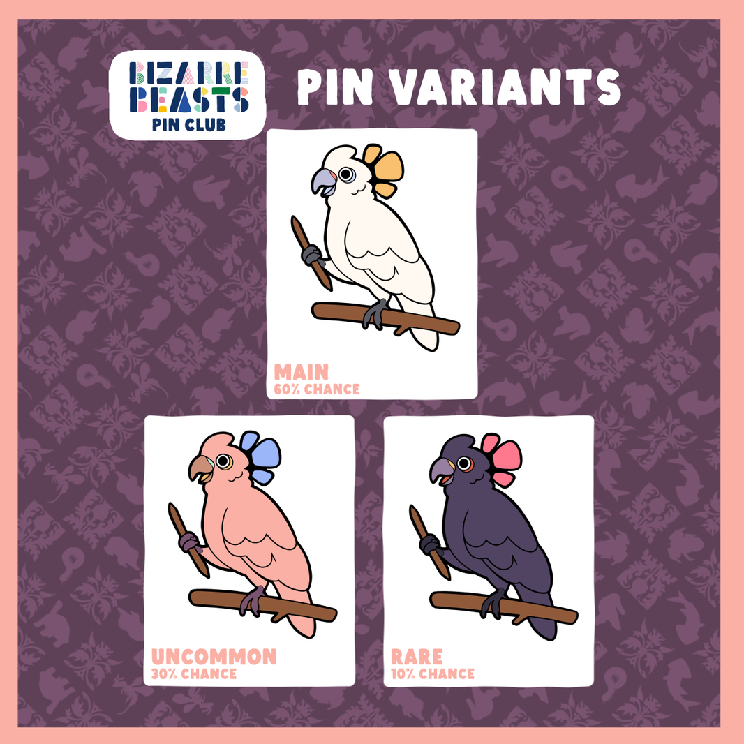 Bizarre Beasts – Complexly Store