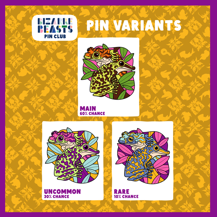 All Products – Complexly Store