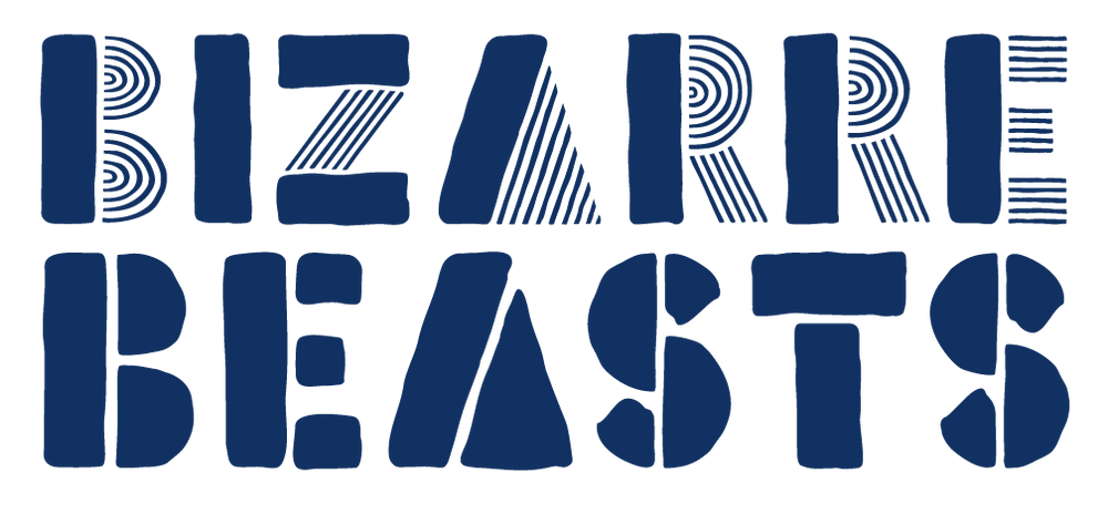 About Us – Complexly Store