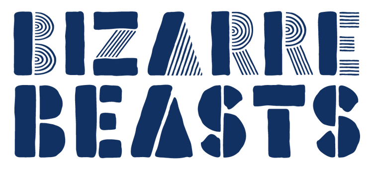 About Us – Complexly Store