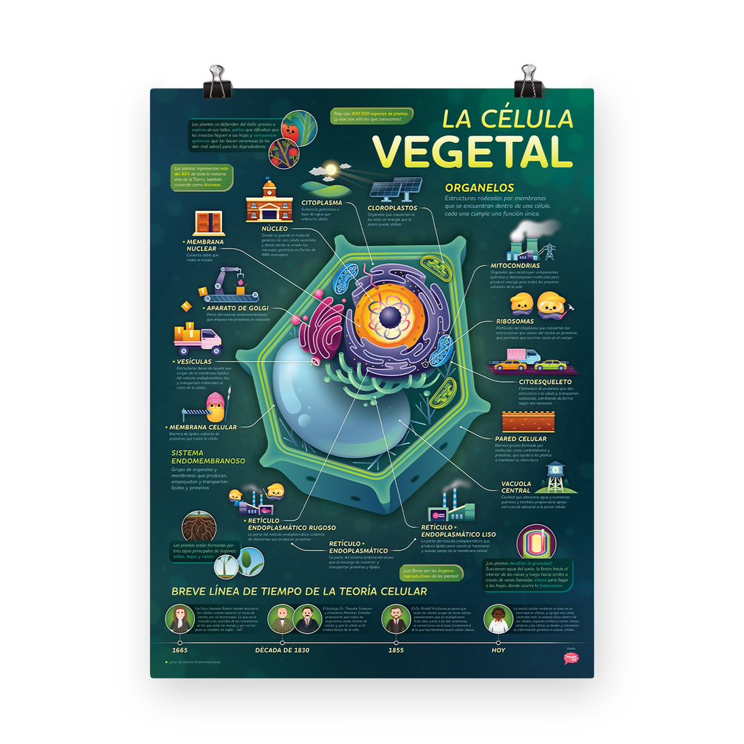 Crash Course – Complexly Store
