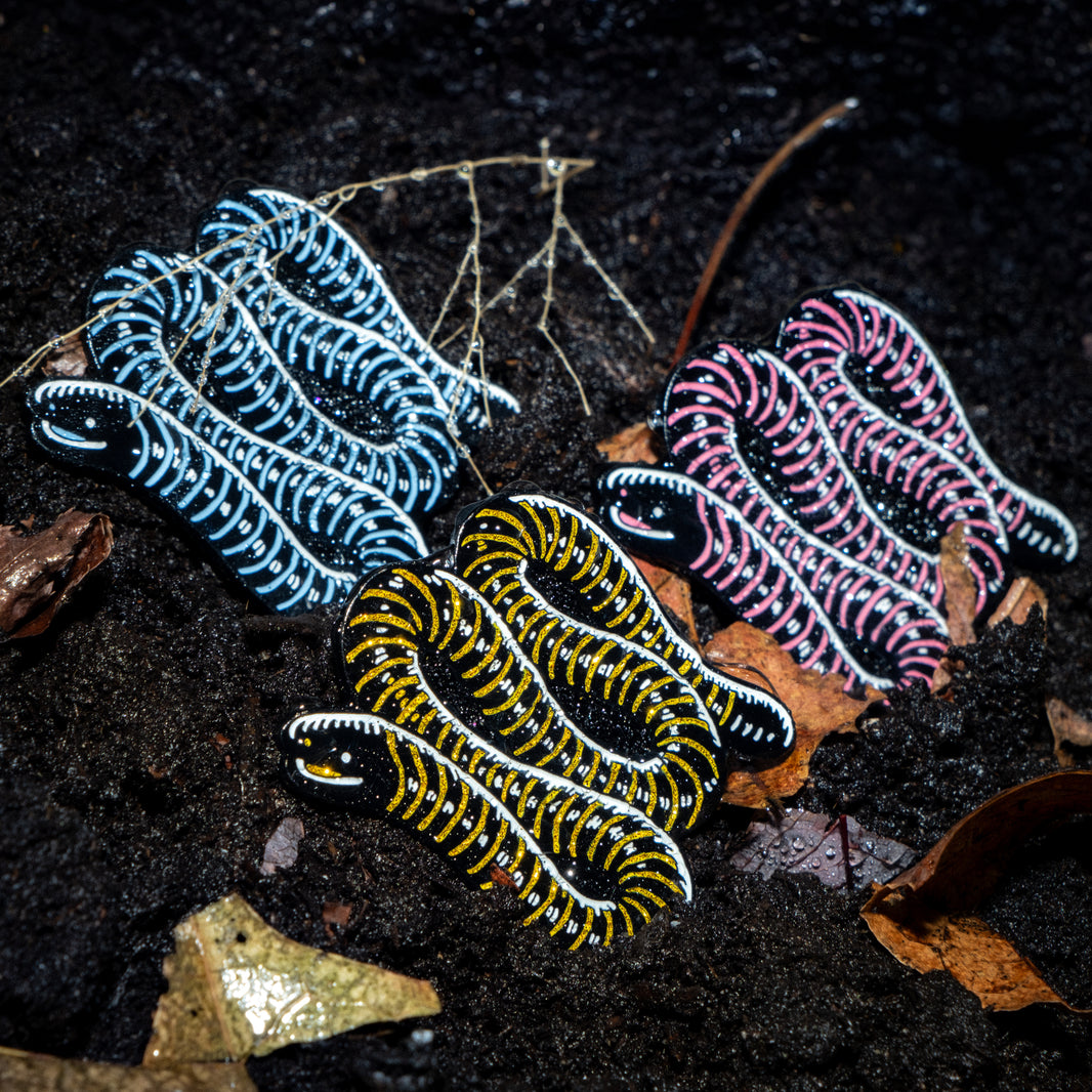 Bizarre Beasts – Complexly Store