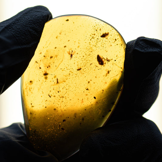 Eons – Complexly Store