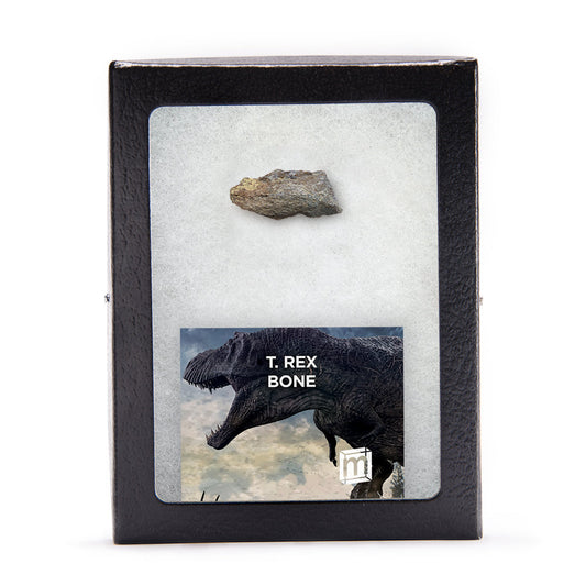 Eons – Complexly Store