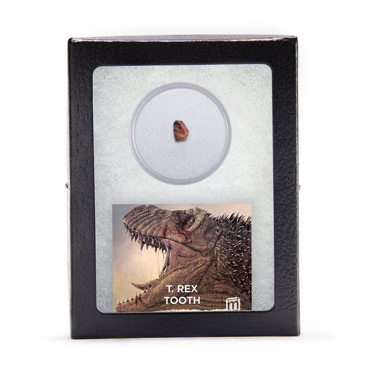 Eons – Complexly Store