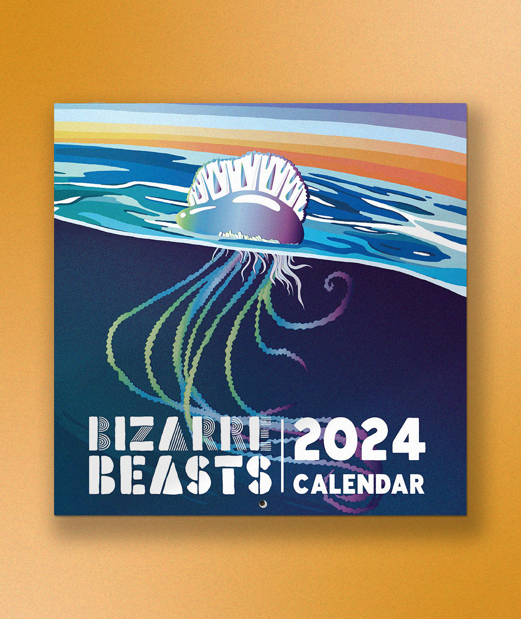 Clearance – Complexly Store