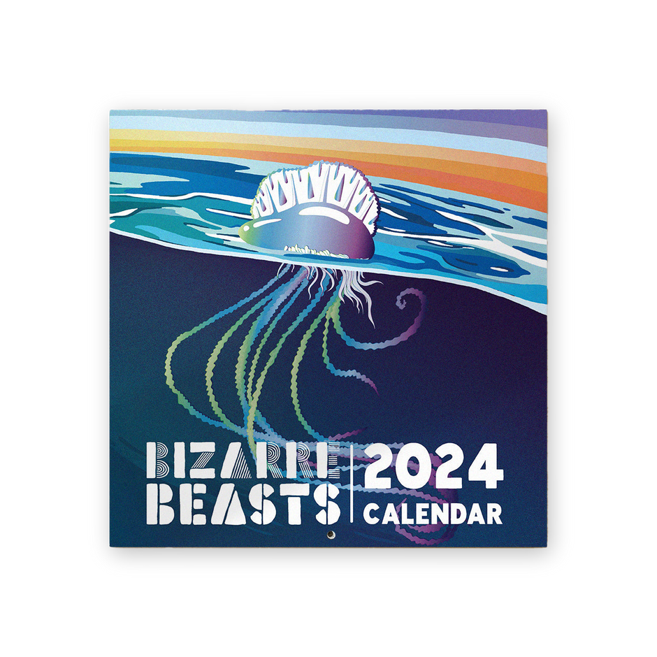 Clearance – Complexly Store