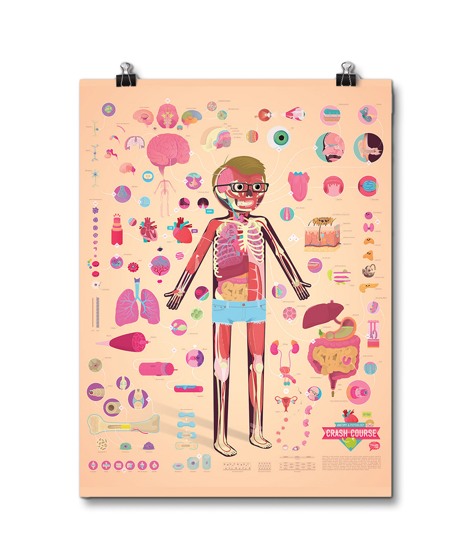 Crash Course – Complexly Store