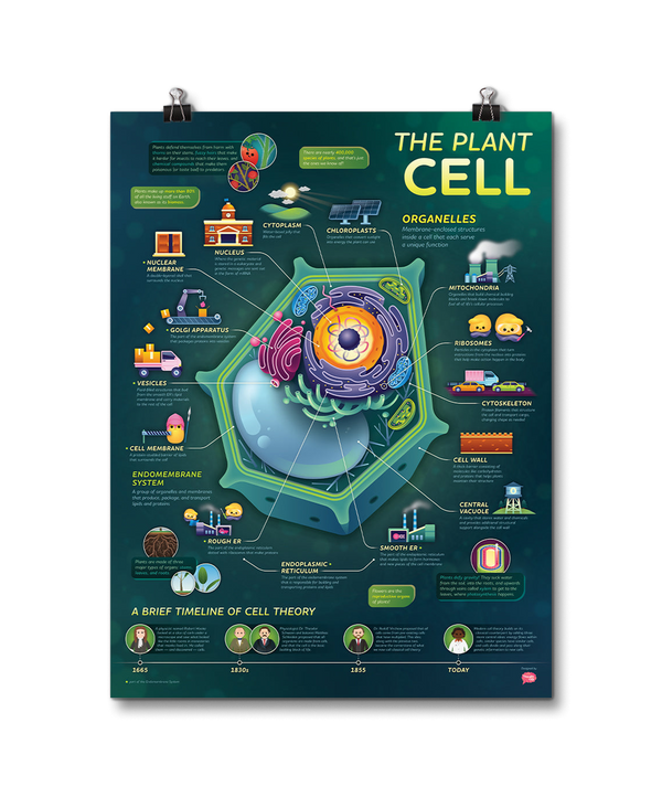 Crash Course Plant Cell Poster – Complexly Store