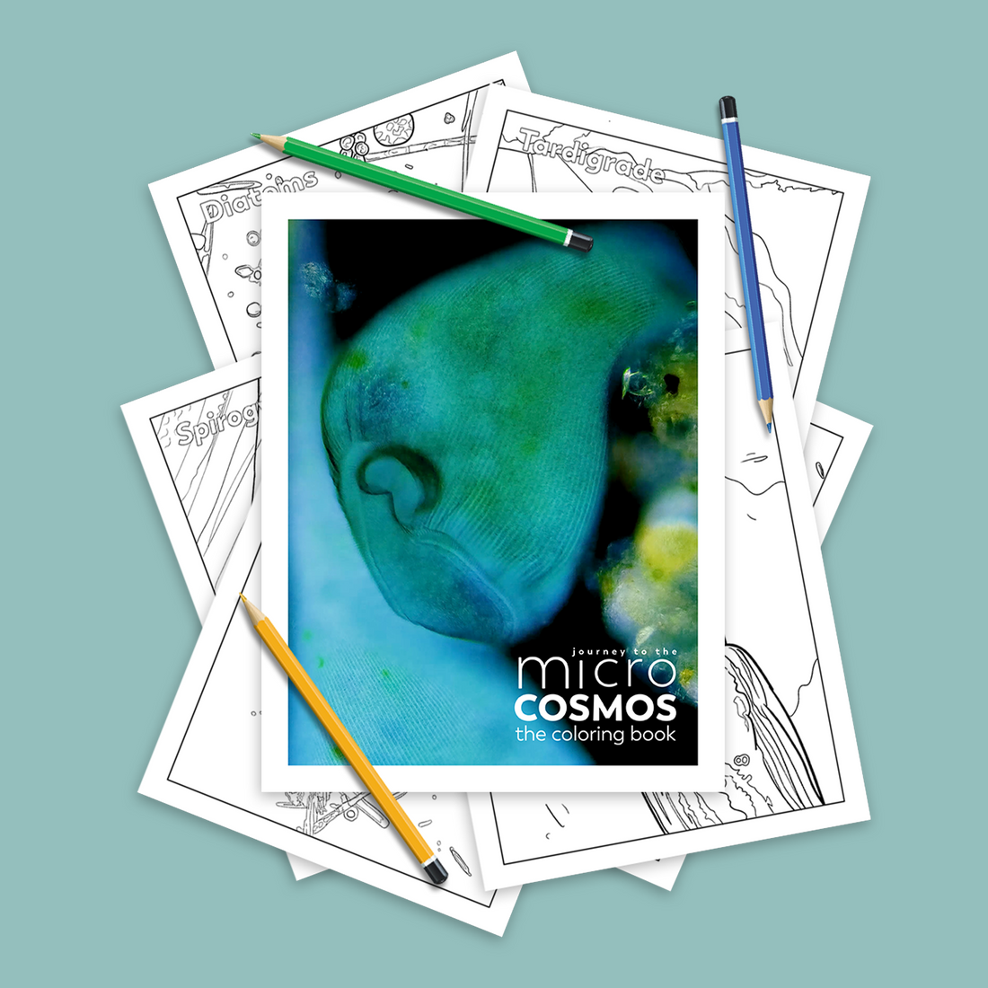 Journey to the Microcosmos | Coloring Book - Digital Version ...