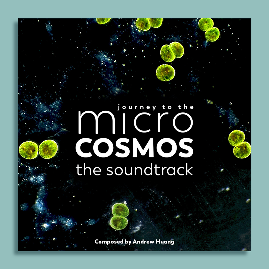 The Microcosmos – Complexly Store