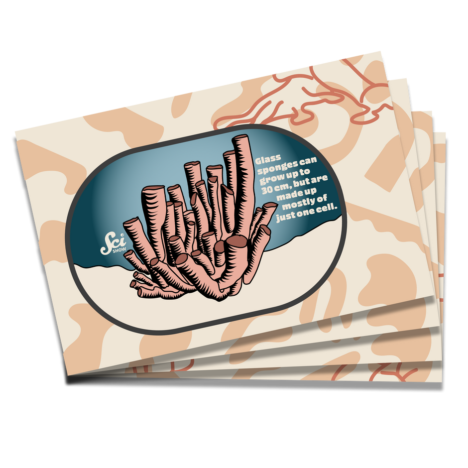 SciShow Postcard – Complexly Store