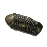 Eons – Complexly Store